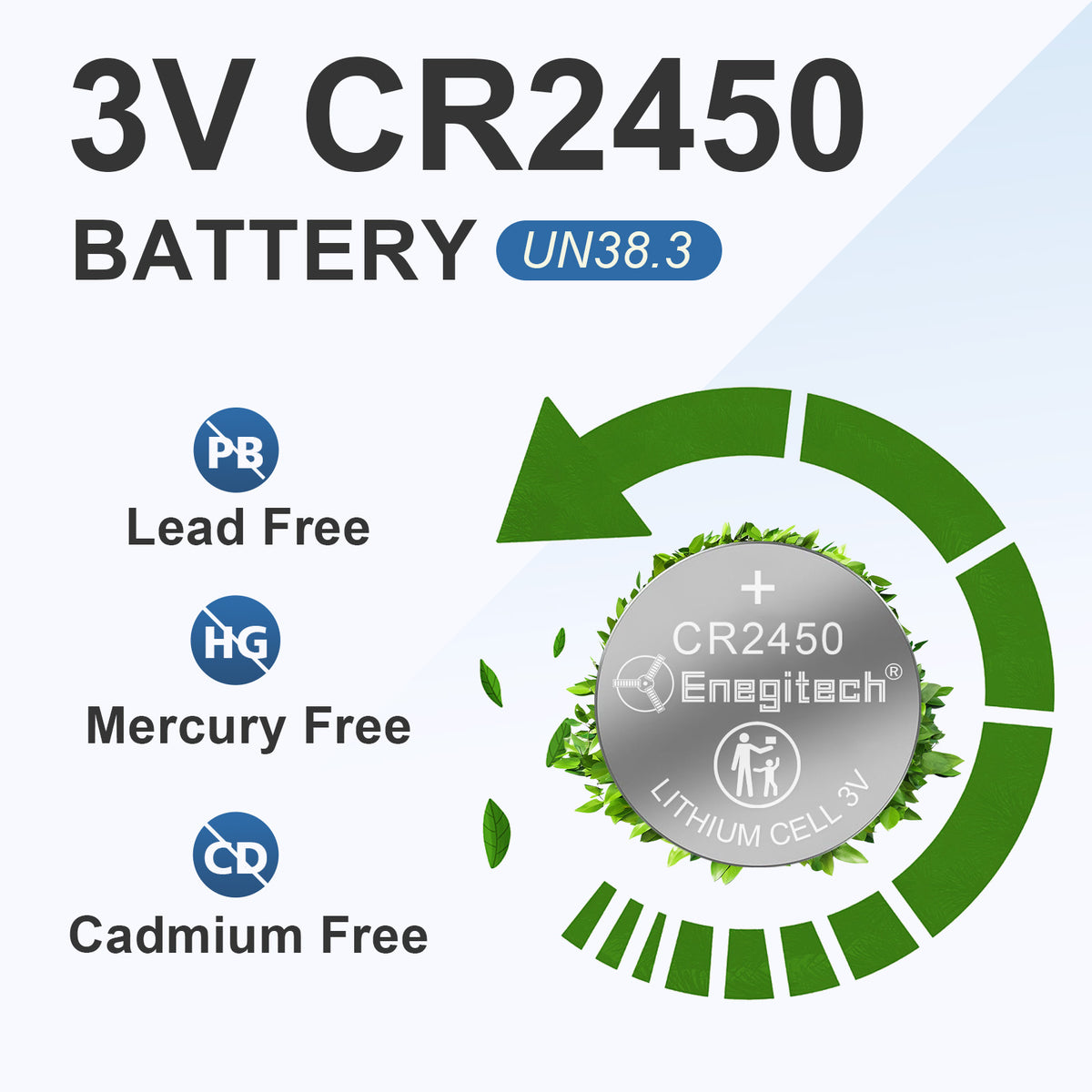 CR2450 Lithium Coin Battery, 3V Button Cell for Hygrometers, Remote Co ...